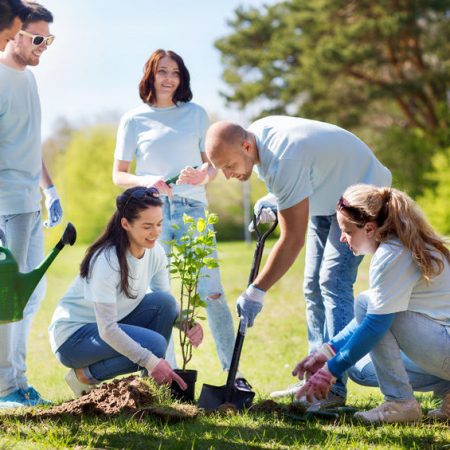 Killing Unwanted Trees | 5 Easy Ways to Kill Nuisance Trees
