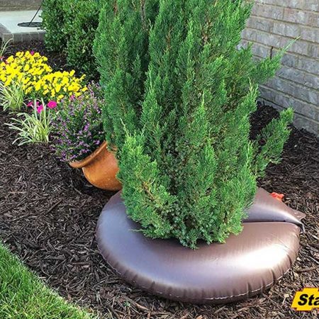 Killing Unwanted Trees | 5 Easy Ways to Kill Nuisance Trees